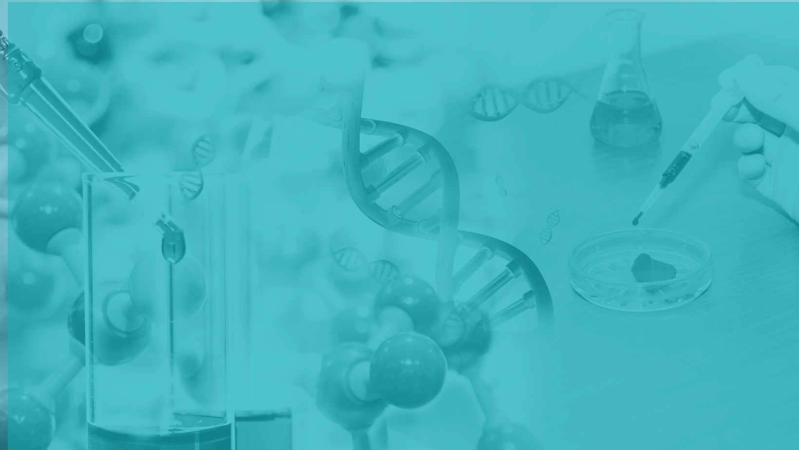 About the GM1 Gangliosidosis Externally-Led Patient-Focused Drug ...